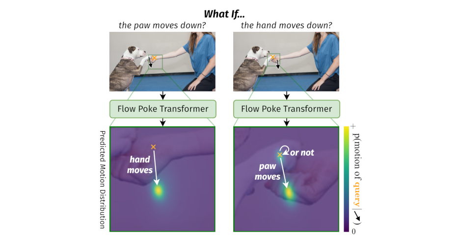 What If: Understanding Motion Through Sparse Interactions